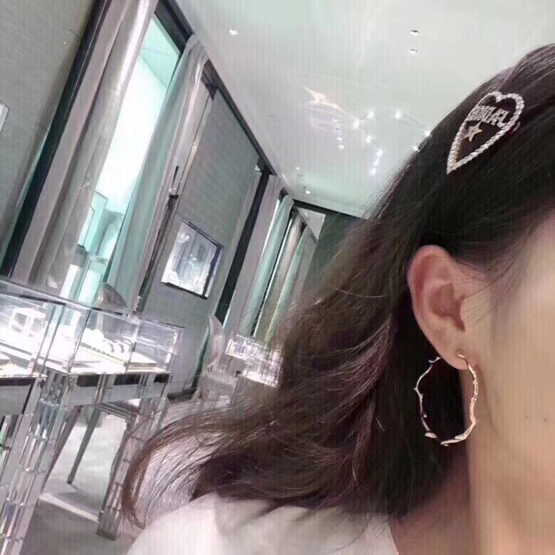Brand-original Christian Dior Hairpins