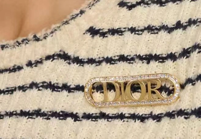 Accurate model Christian Dior Hairpins