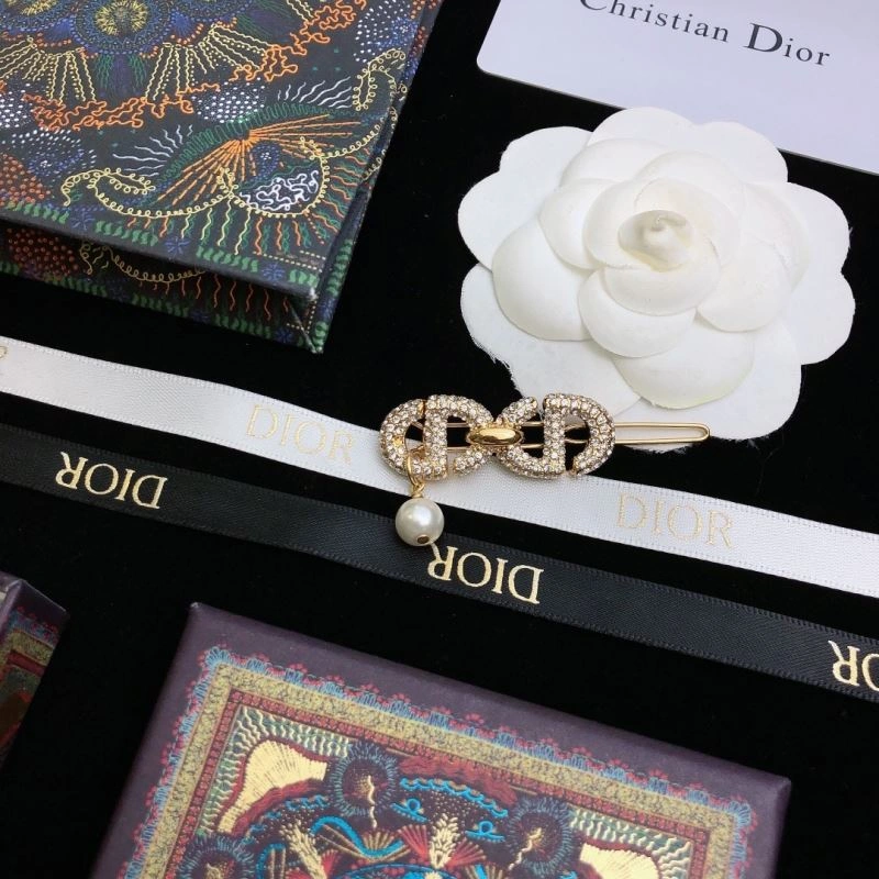 Indistinguishable Christian Dior Hairpins