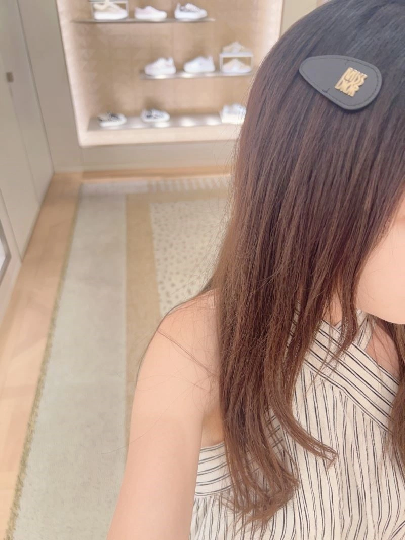 Mirror quality Christian Dior Hairpins