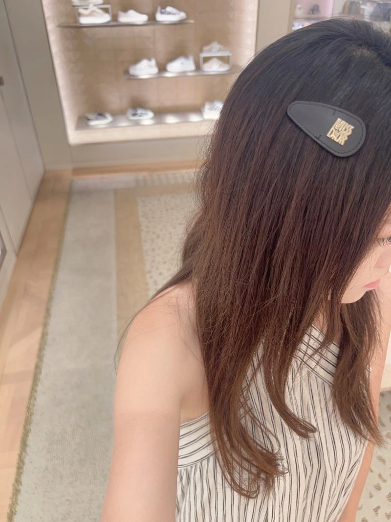 Mirror quality Christian Dior Hairpins