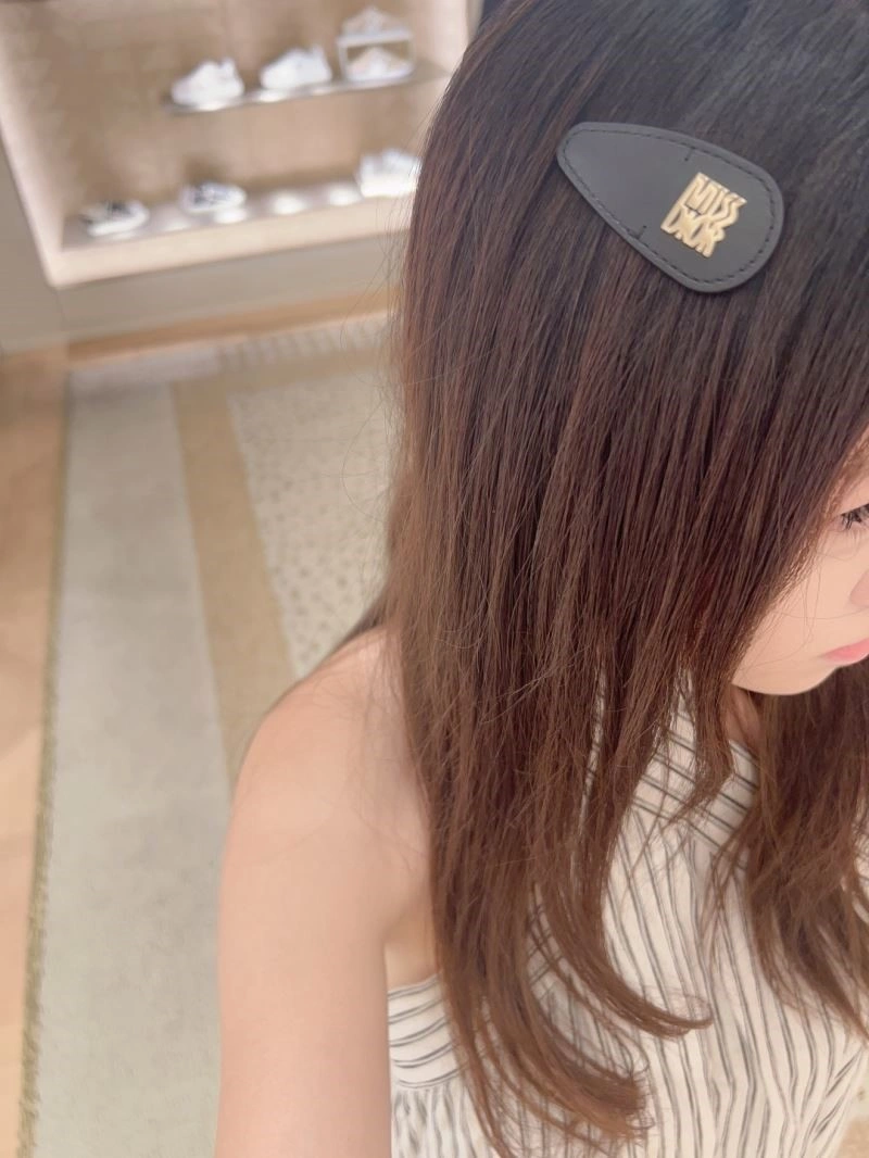Mirror quality Christian Dior Hairpins