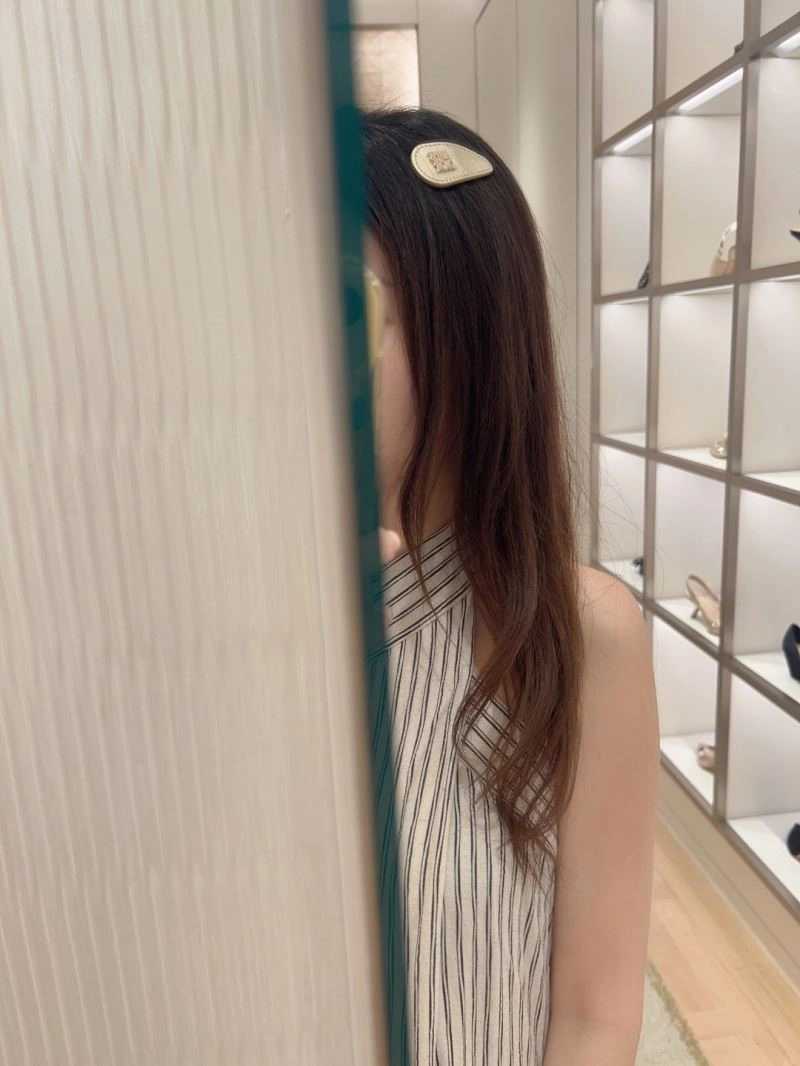 Mirror quality Christian Dior Hairpins