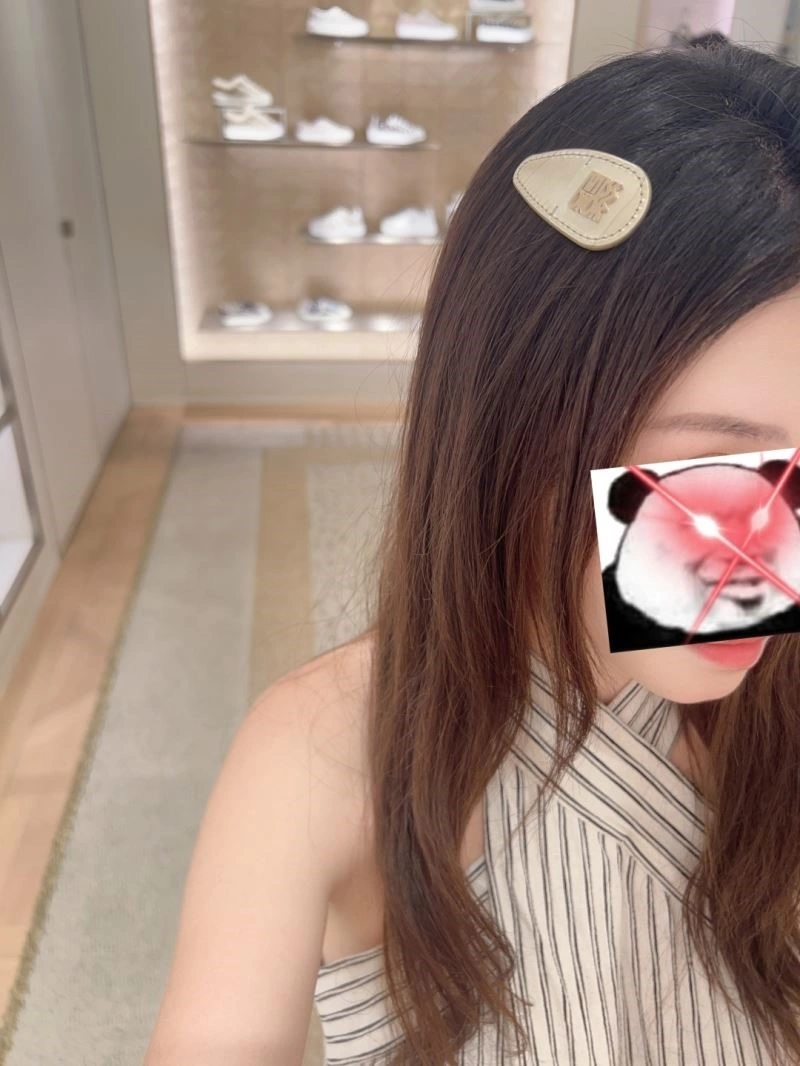Mirror quality Christian Dior Hairpins