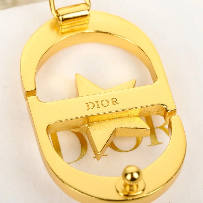 Brand-original Christian Dior Hairpins