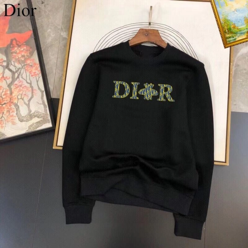 Mirror quality Christian Dior Hoodies