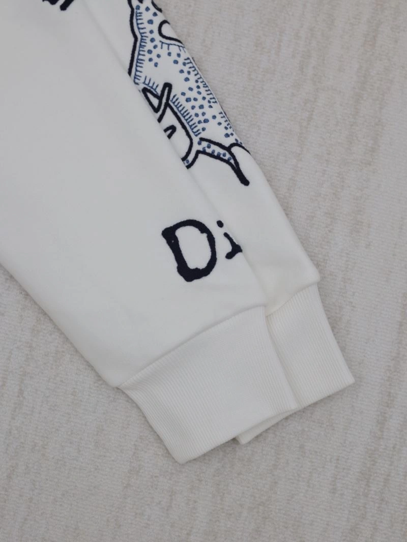 OEM Christian Dior Hoodies