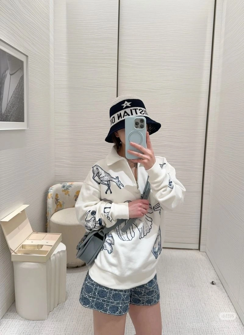 OEM Christian Dior Hoodies