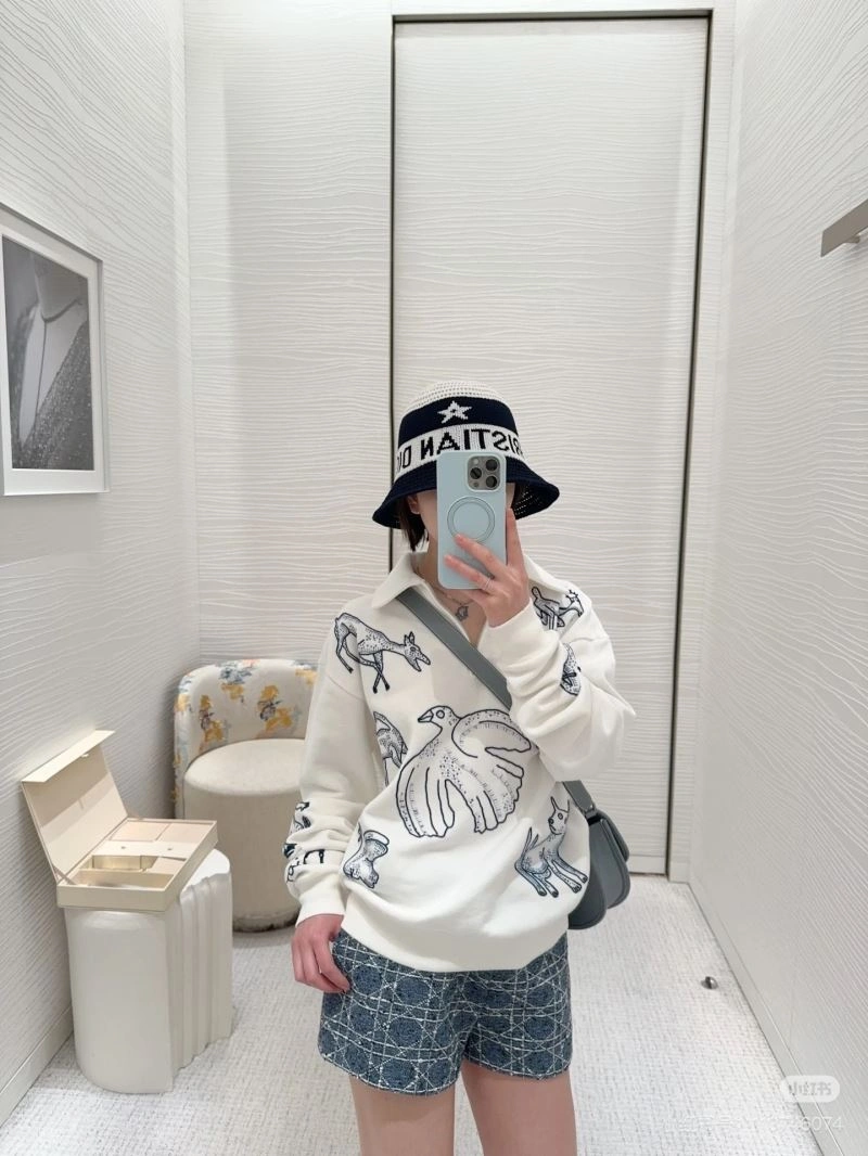 OEM Christian Dior Hoodies
