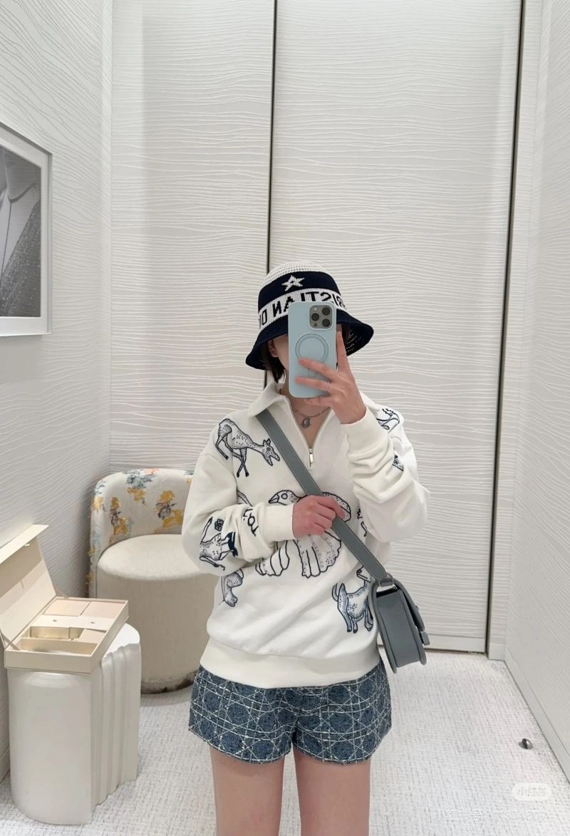 OEM Christian Dior Hoodies