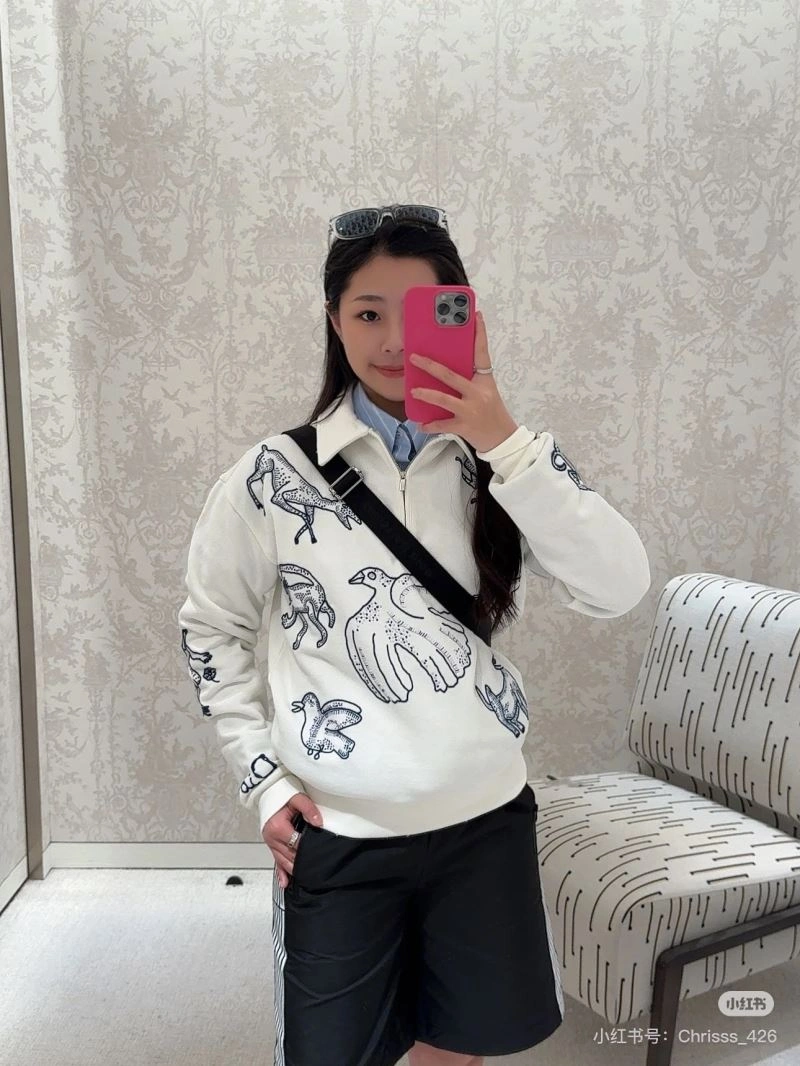 OEM Christian Dior Hoodies