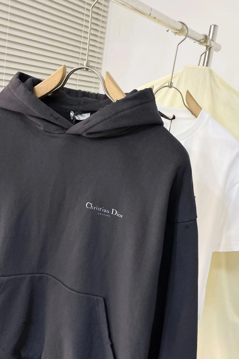 High accuracy Christian Dior Hoodies