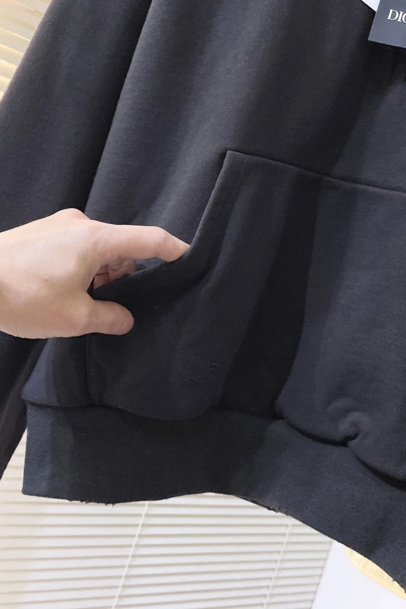 High accuracy Christian Dior Hoodies