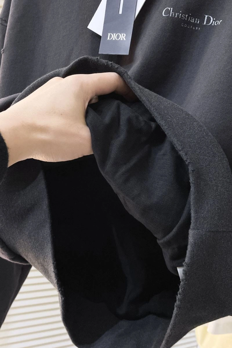 High accuracy Christian Dior Hoodies
