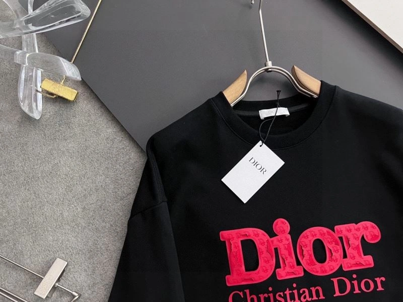 Precise copy Christian Dior Hoodies