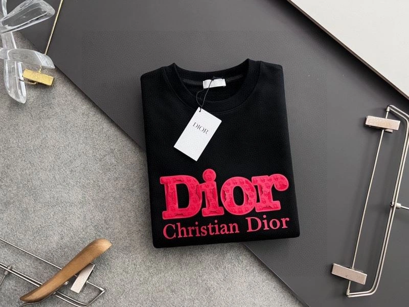 Precise copy Christian Dior Hoodies