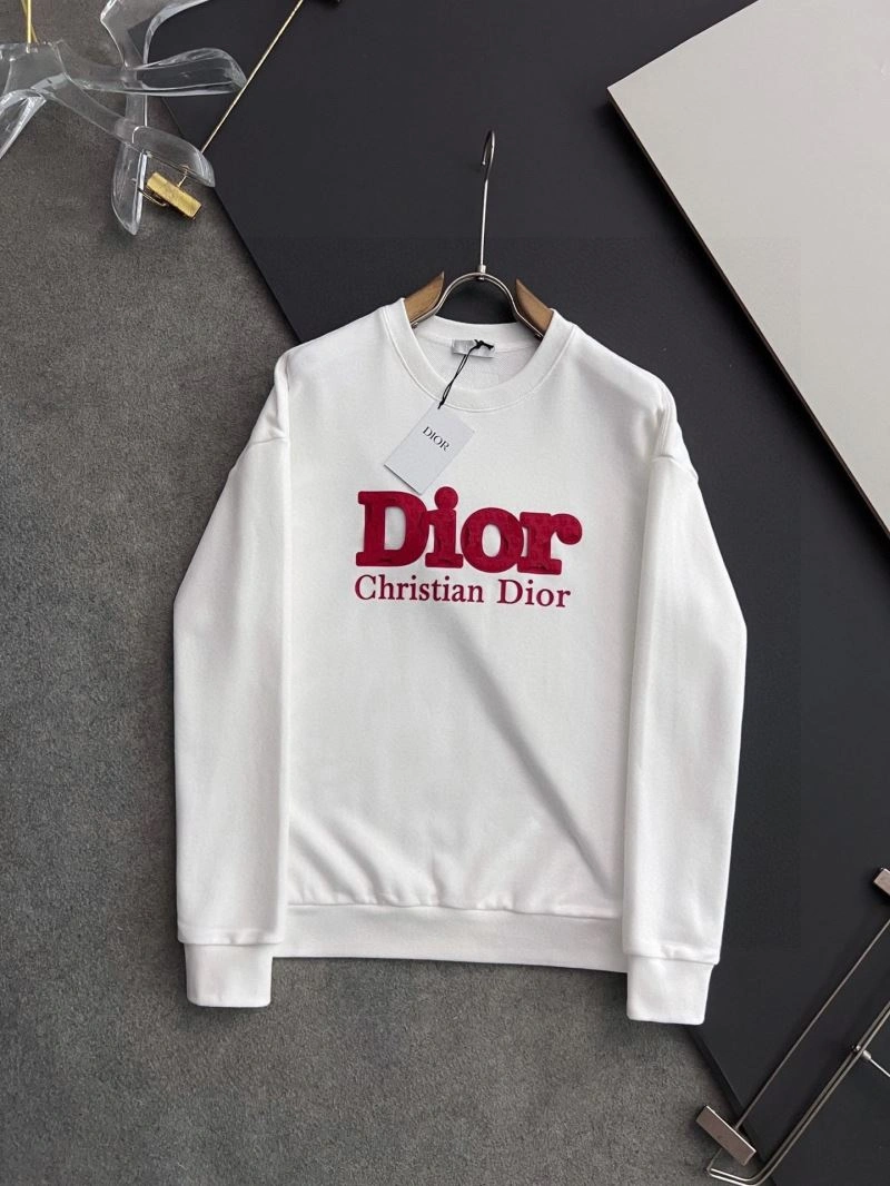 Christian Dior Hoodies