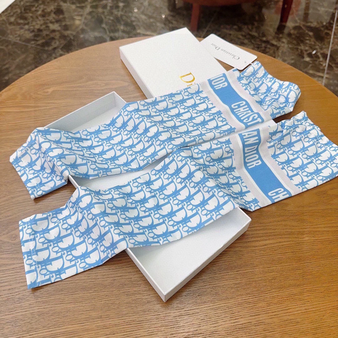 Legit Christian Dior Ice Silk Sleeves