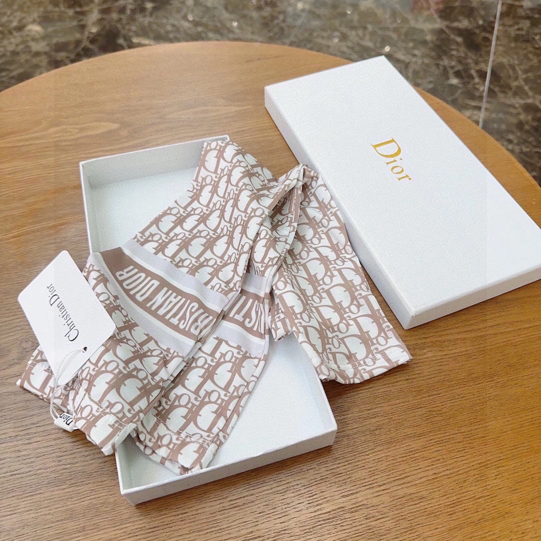 Brand-authenticated Christian Dior Ice Silk Sleeves