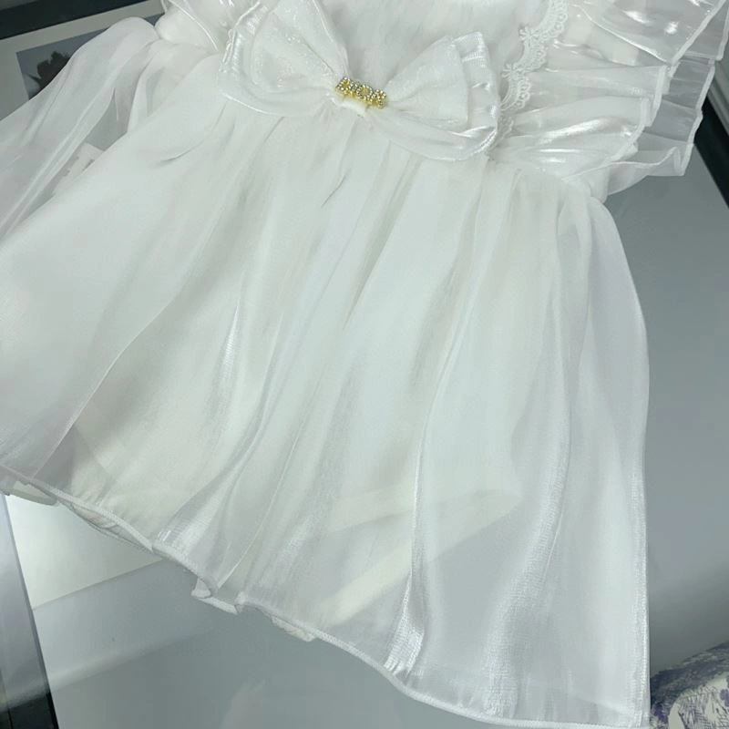 Indistinguishable Christian Dior Kids