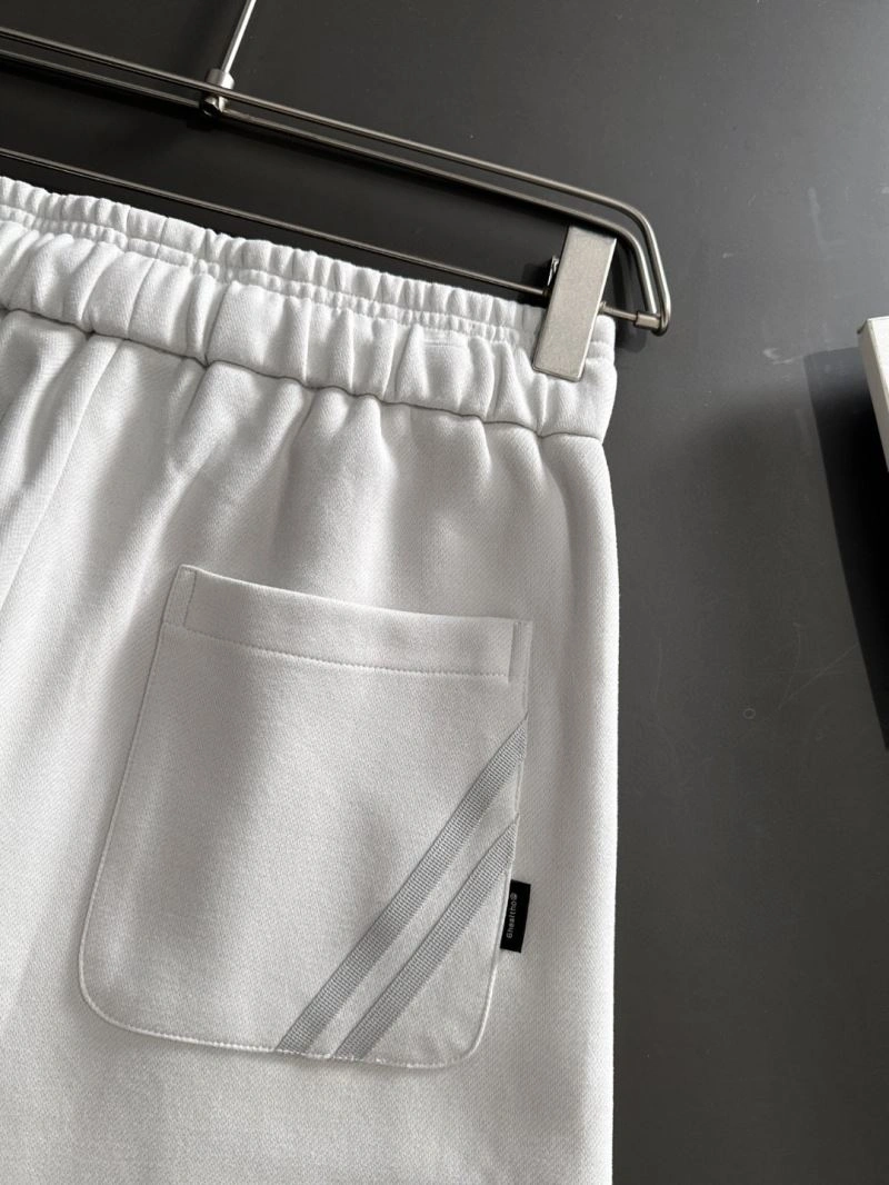 Accurate model Christian Dior Long Pants
