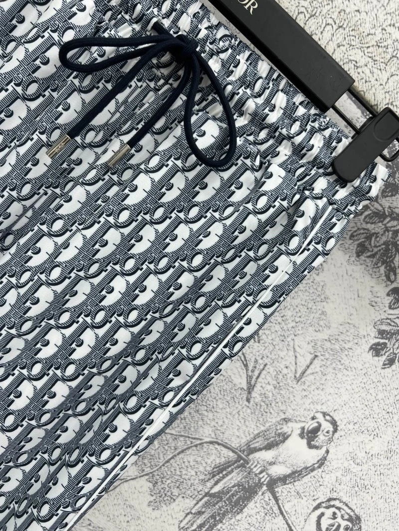 High fidelity Christian Dior Long Pants