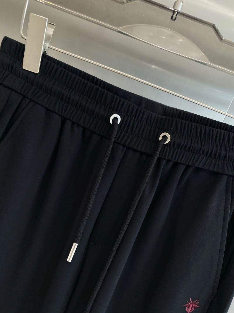 Accurate model Christian Dior Long Pants