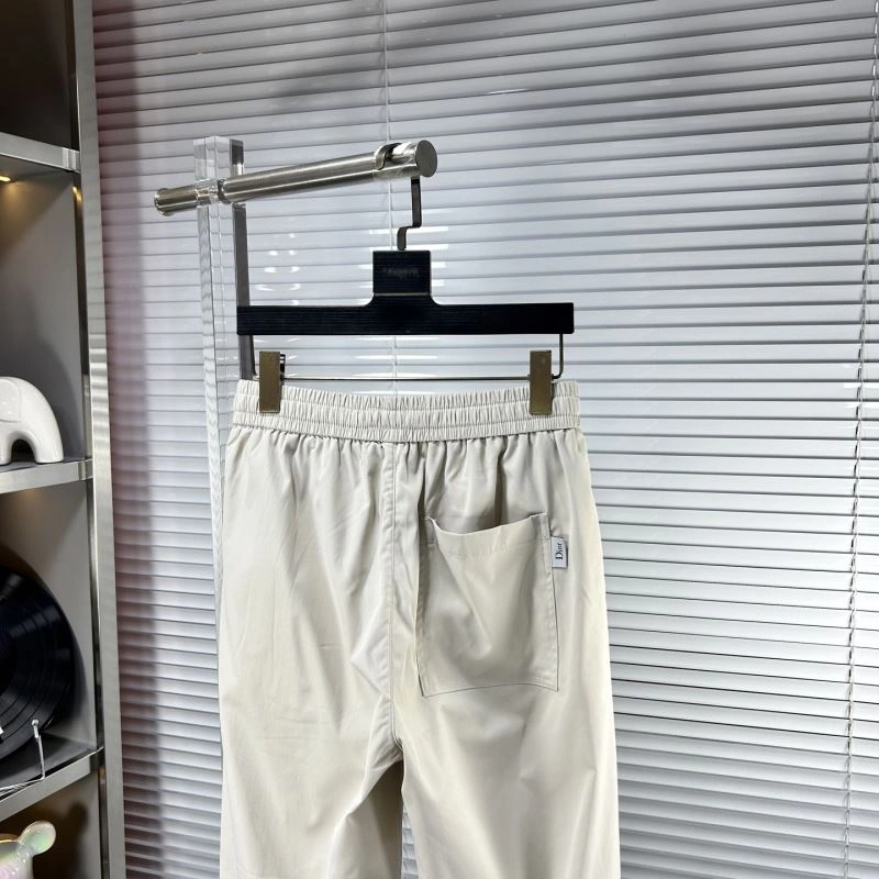 Accurate model Christian Dior Long Pants