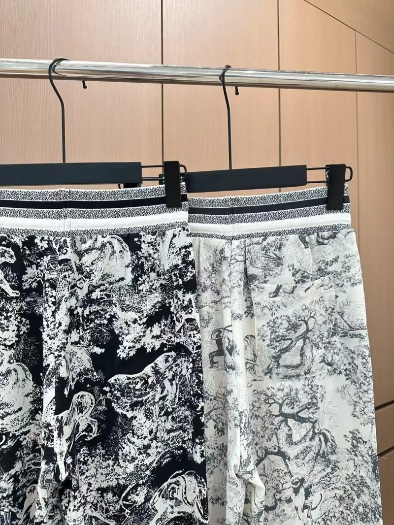 Mirror quality Christian Dior Long Pants