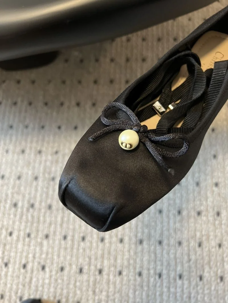 High accuracy Christian Dior Low Shoes