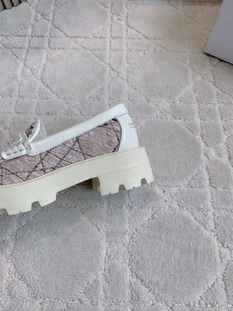 Legit Christian Dior Low Shoes