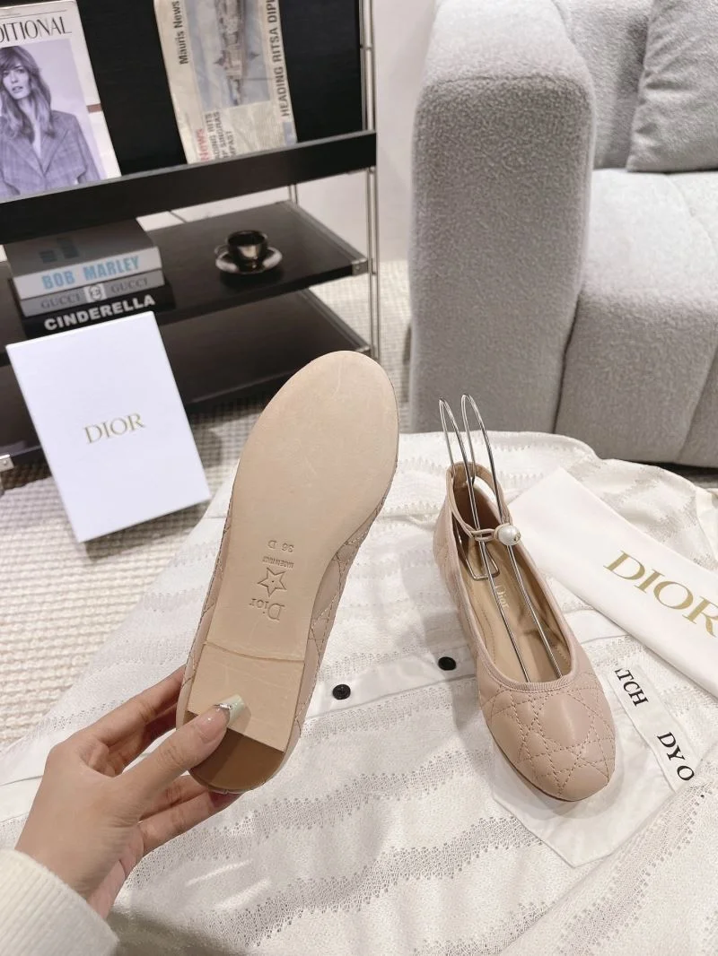 High accuracy Christian Dior Low Shoes