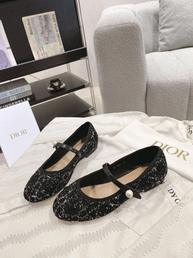 High accuracy Christian Dior Low Shoes