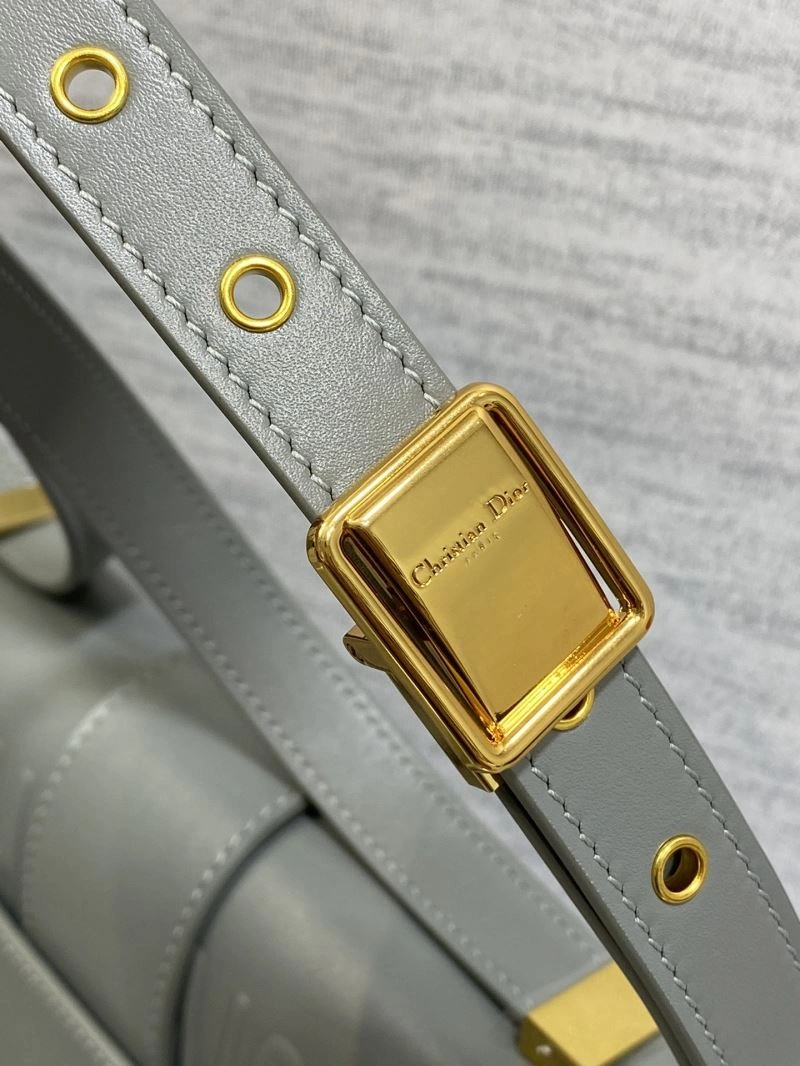Accurate model Christian Dior Montaigne Bags