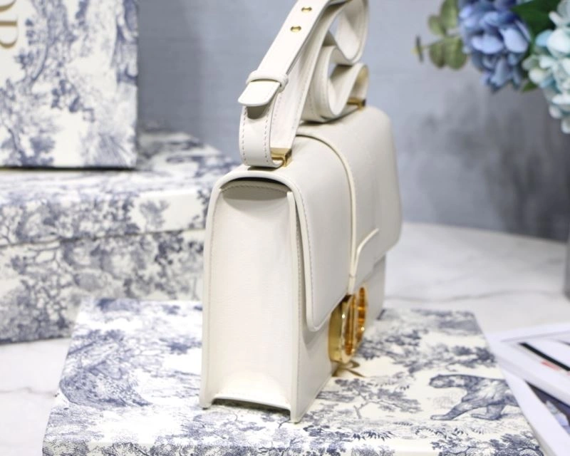 Accurate model Christian Dior Montaigne Bags
