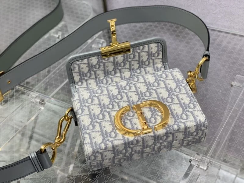 Cut-rate Christian Dior Montaigne Bags