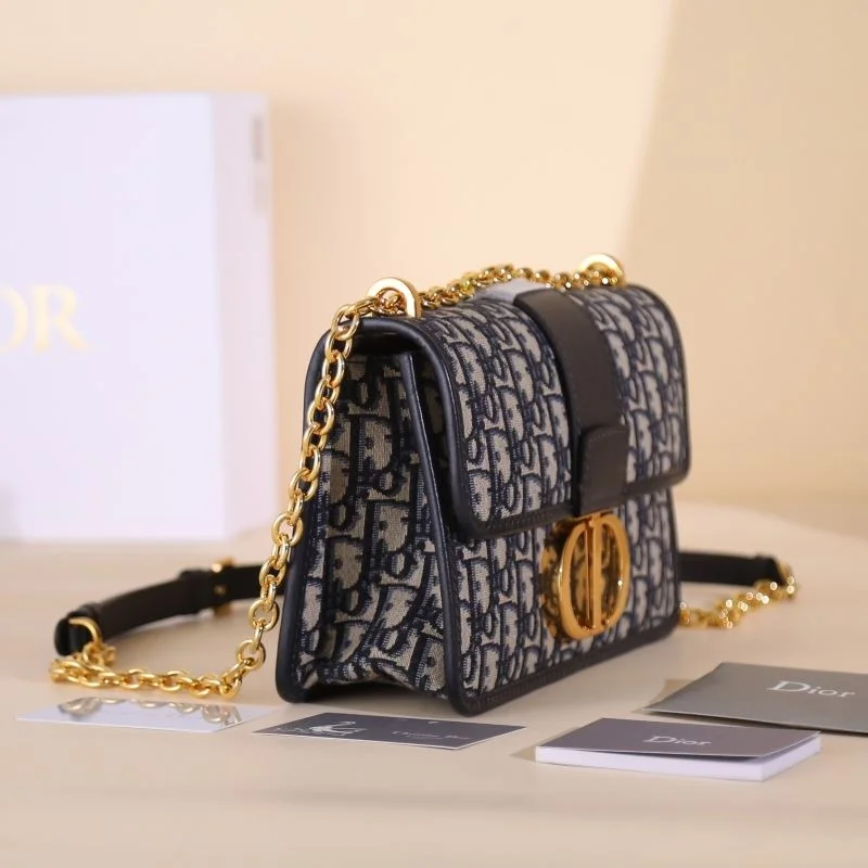 Accurate model Christian Dior Montaigne Bags