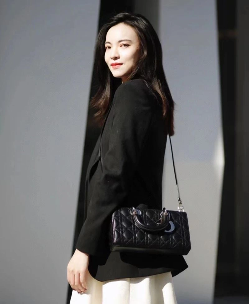 1:1 copy Christian Dior My Lady Bags
