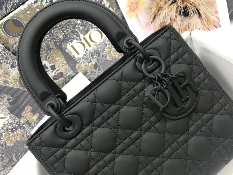 Bargain Christian Dior My Lady Bags