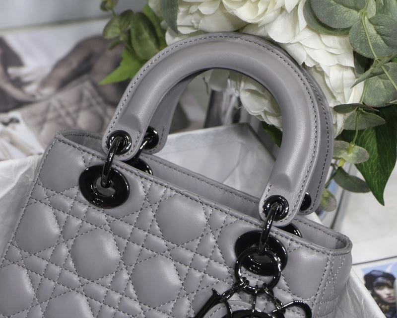 Affordable Christian Dior My Lady Bags