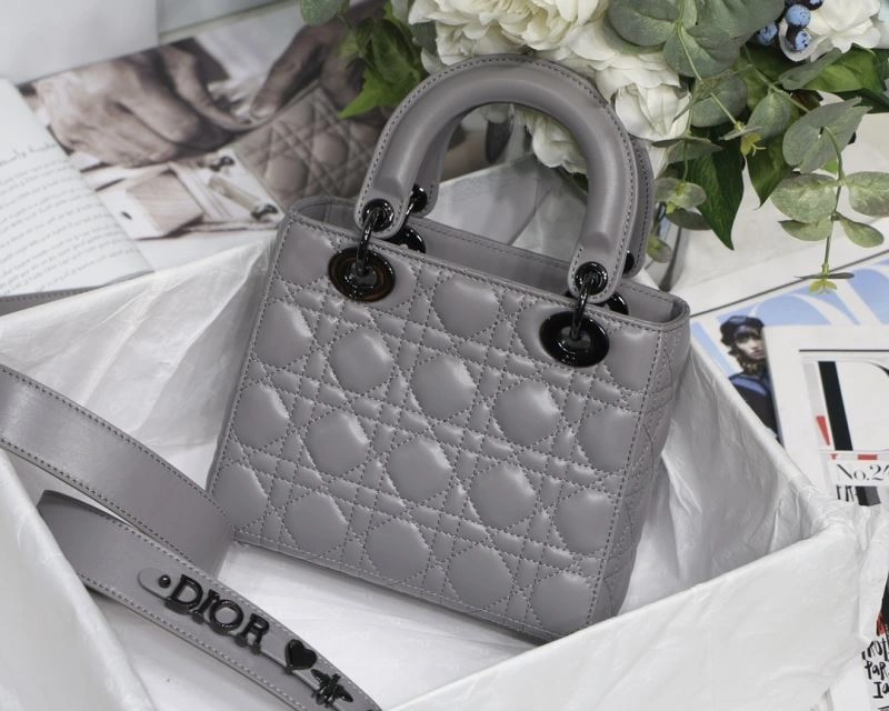 Affordable Christian Dior My Lady Bags