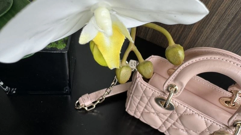 Value-priced Christian Dior My Lady Bags
