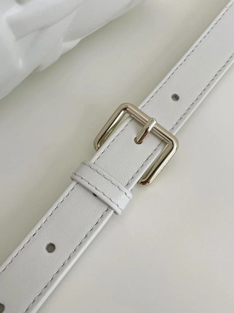 Inexpensive Christian Dior My Lady Bags