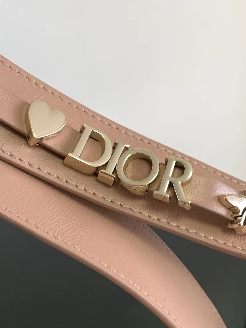 Indistinguishable Christian Dior My Lady Bags