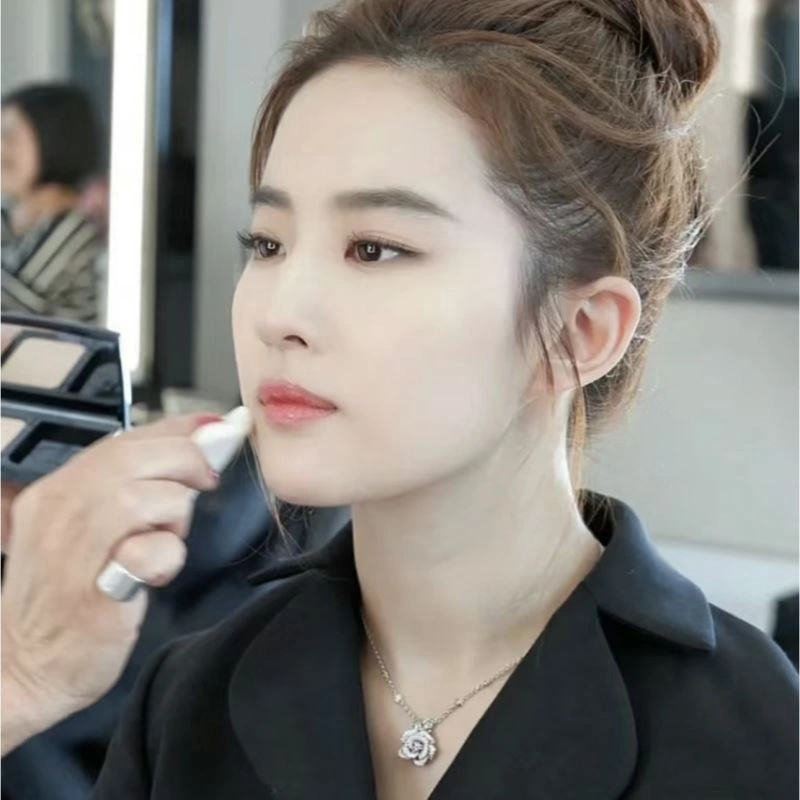Mirror quality Christian Dior Necklaces