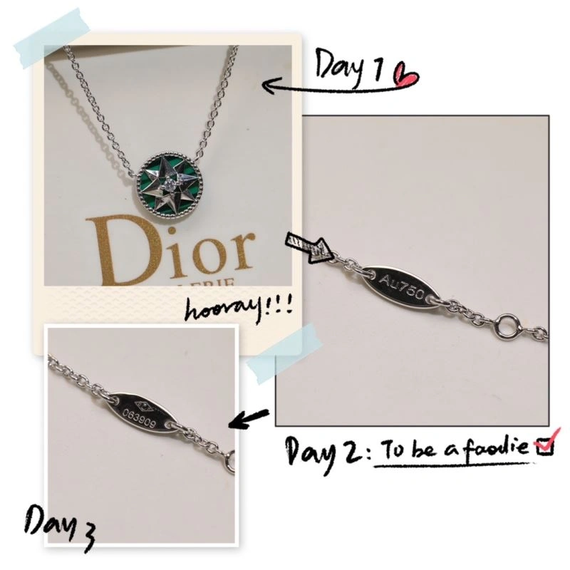 Precise copy Christian Dior Necklaces