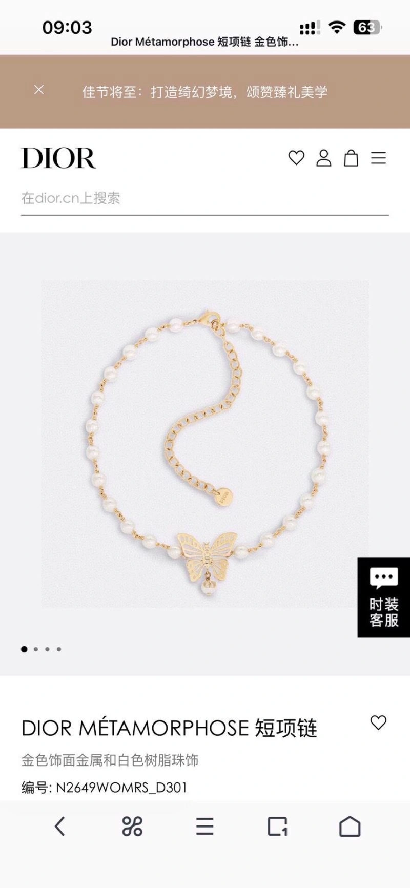 Mirror quality Christian Dior Necklaces