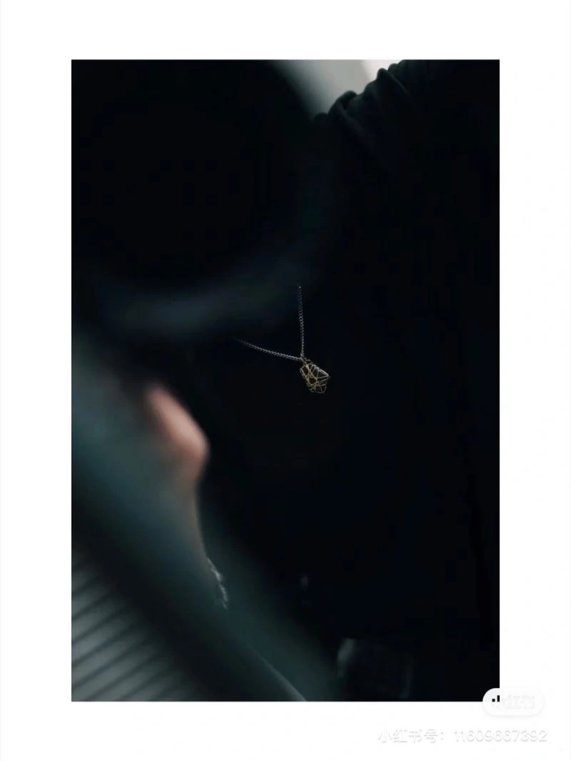 1:1 copy Christian Dior Necklaces