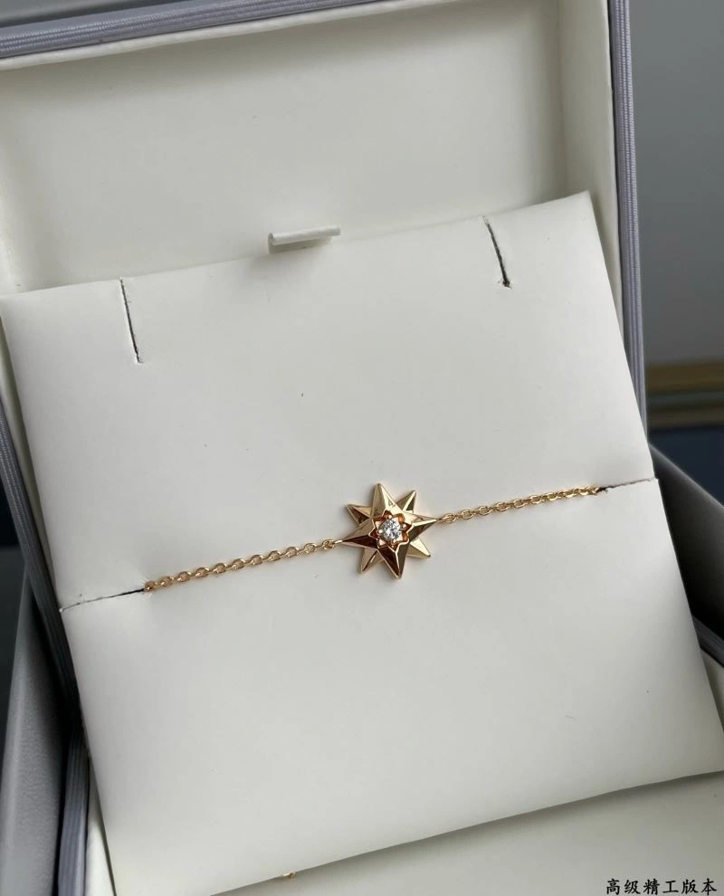 Mirror quality Christian Dior Necklaces