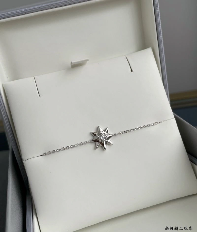 Mirror quality Christian Dior Necklaces